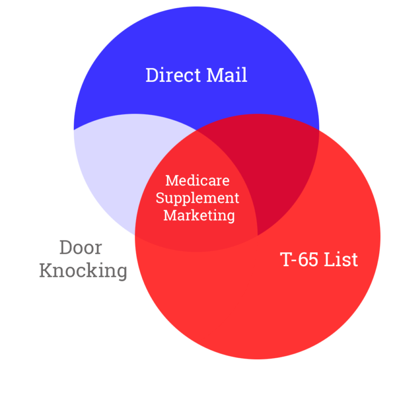 Six-Figure Medicare Selling Guide for Licensed Agents [2023]