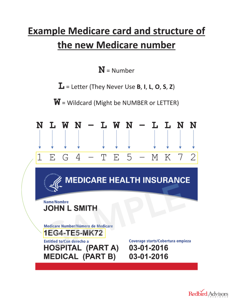 The Professional Insurance Agent's Guide to Selling Medicare [2026]