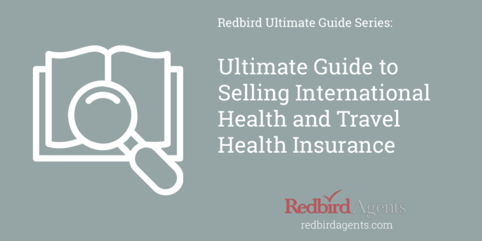 The Professional's Guide to Indexed Universal Life Insurance [2024]